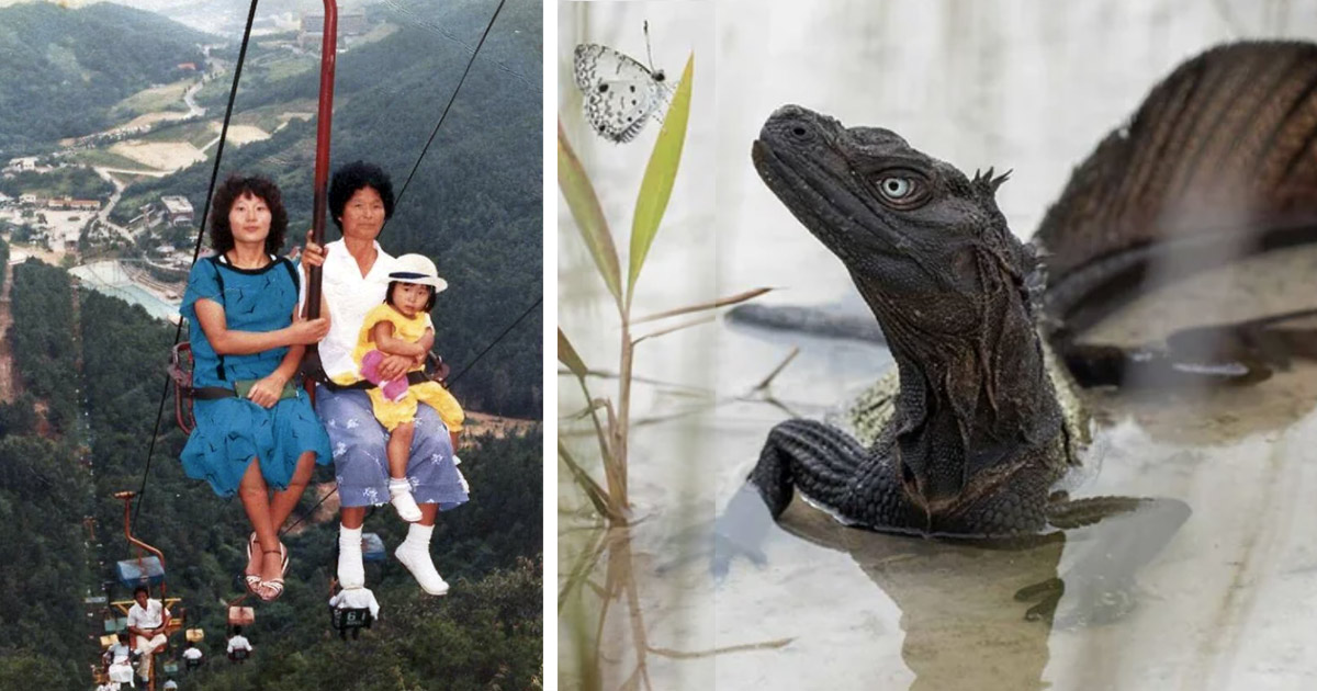 22 Intriguing Photos From Our World