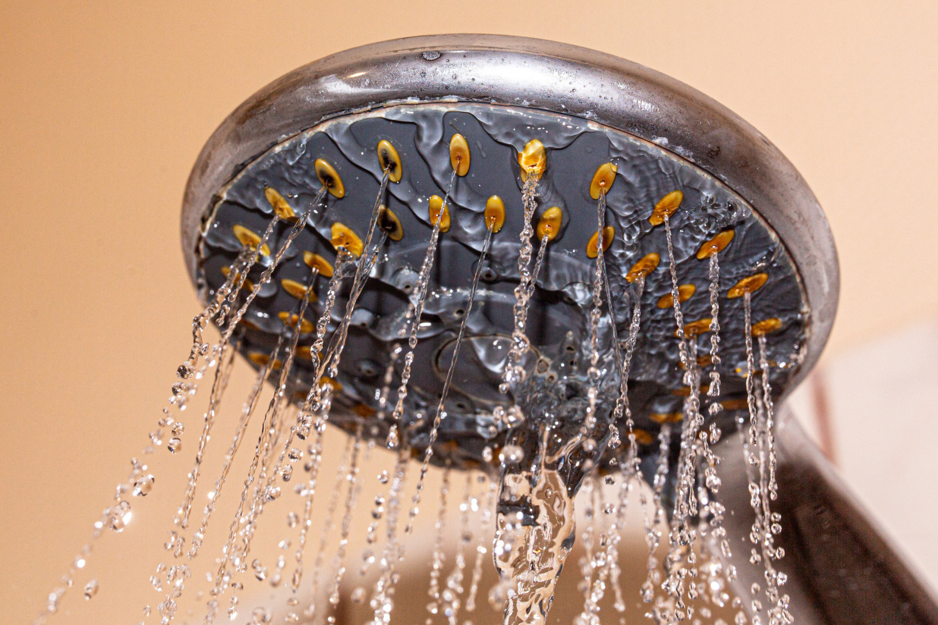 How hidden bacteria in everyday items can help defend against viruses