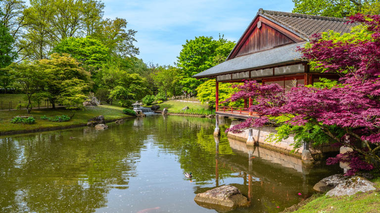 23 Beautiful Japanese Garden Ideas And Inspiration