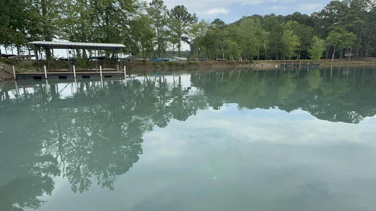 ‘Water Watch’ still in effect after harmful blue-green algae detected ...