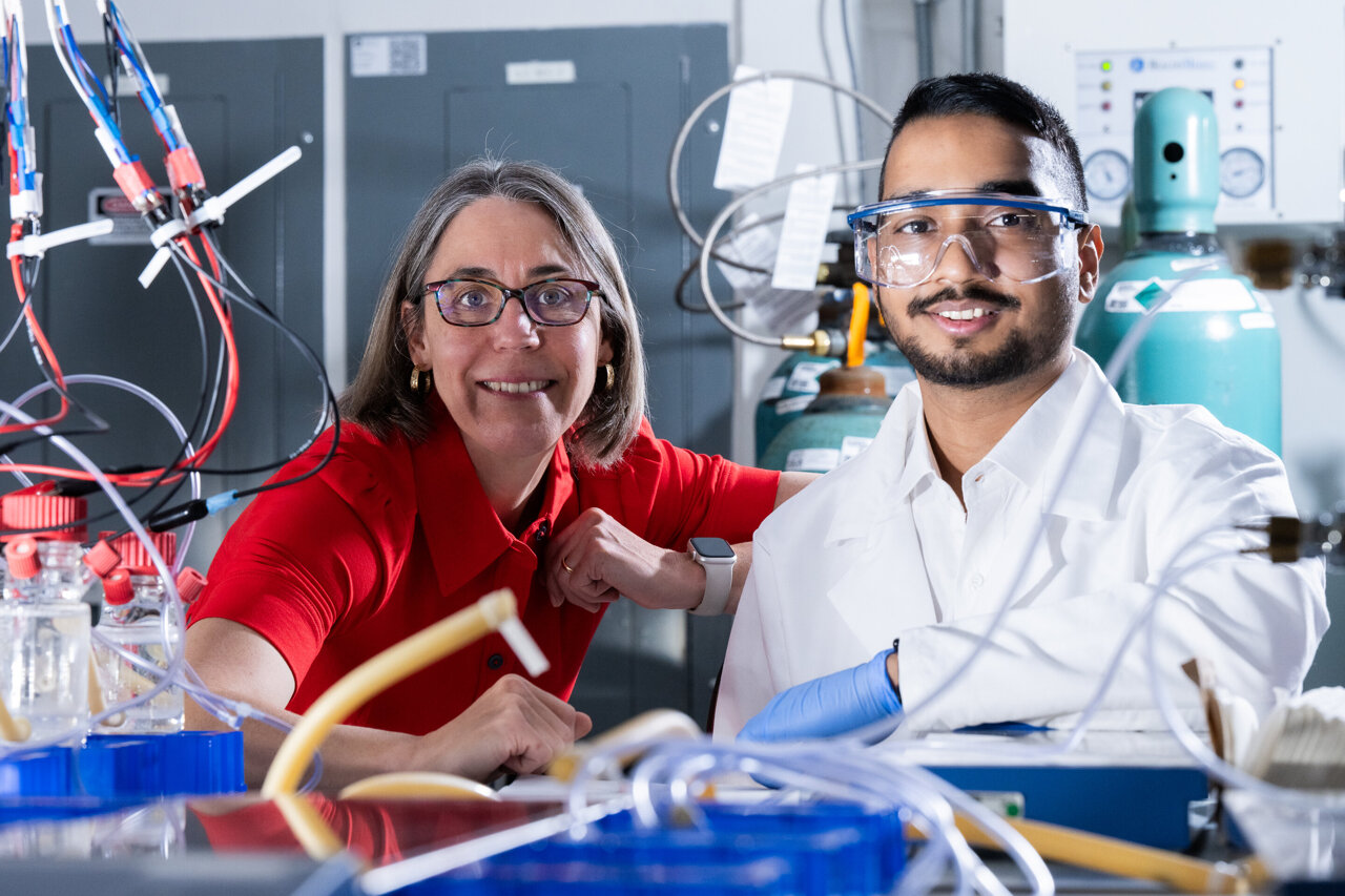 Electricity-generating bacteria's survival strategy could reshape ...