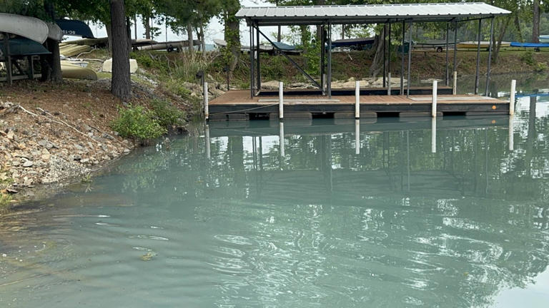 ‘Water Watch’ still in effect after harmful blue-green algae detected ...