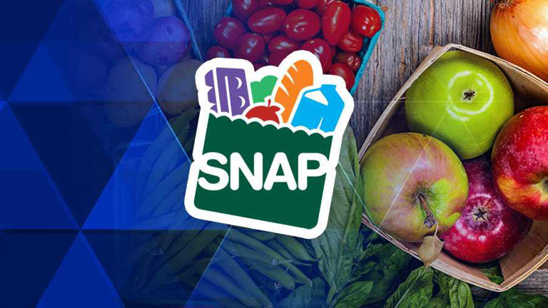 November's SNAP benefits issued for all Pennsylvania recipients, state ...