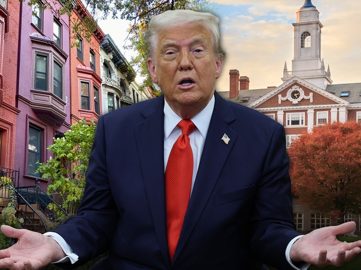 President Trump's Bizarre Harlem Rant When Stephen A. Asks About Harvard