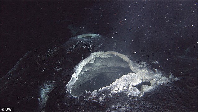 Underwater volcano in Pacific Northwest could erupt 'any day now'