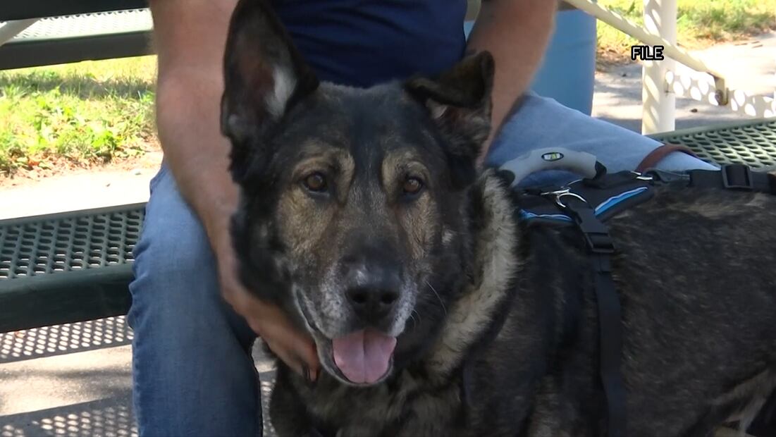 House committee hearing discusses Canjo’s Law