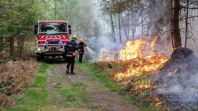 « Dix hectares, ce n’est pas fréquent » : les pompiers mobilisés sur un impressionnant feu de ...
