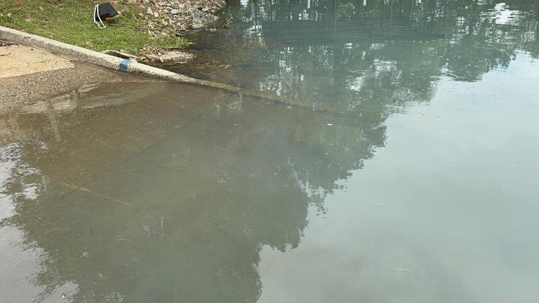 ‘Water Watch’ still in effect after harmful blue-green algae detected ...