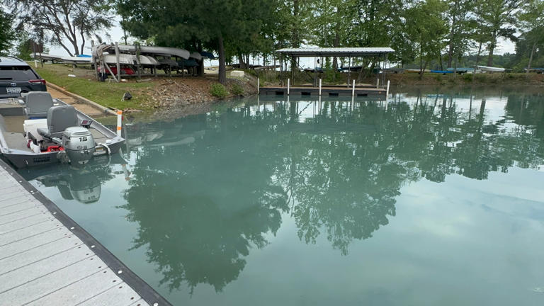 ‘Water Watch’ still in effect after harmful blue-green algae detected ...