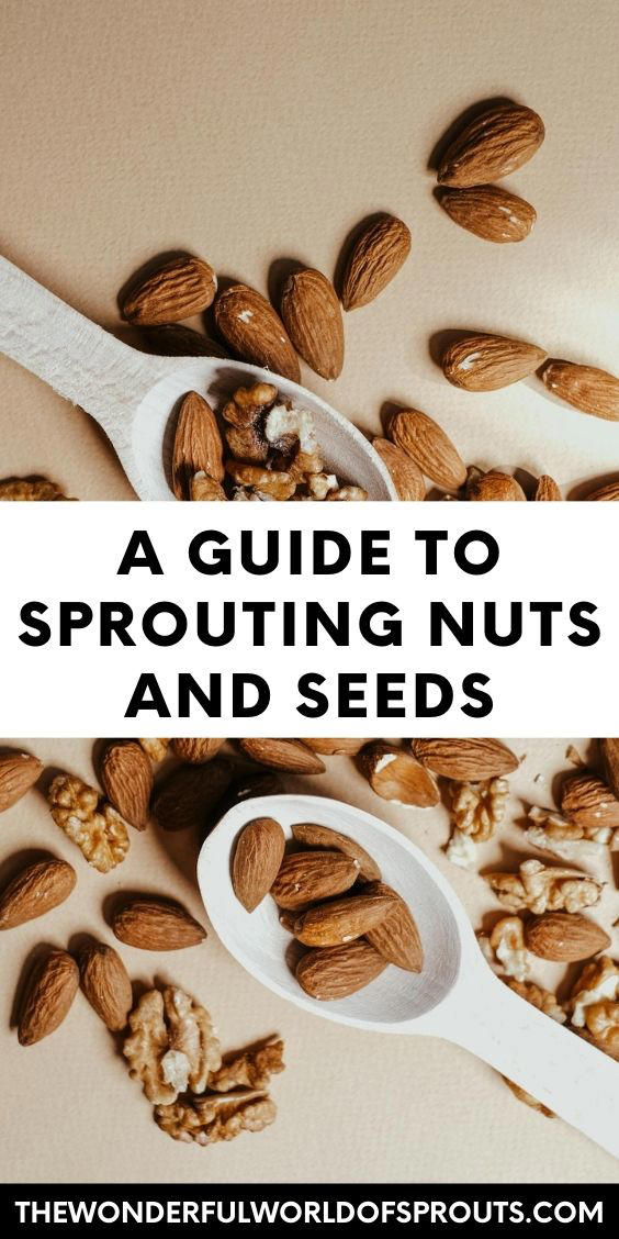 A Guide to Sprouting Nuts and Seeds