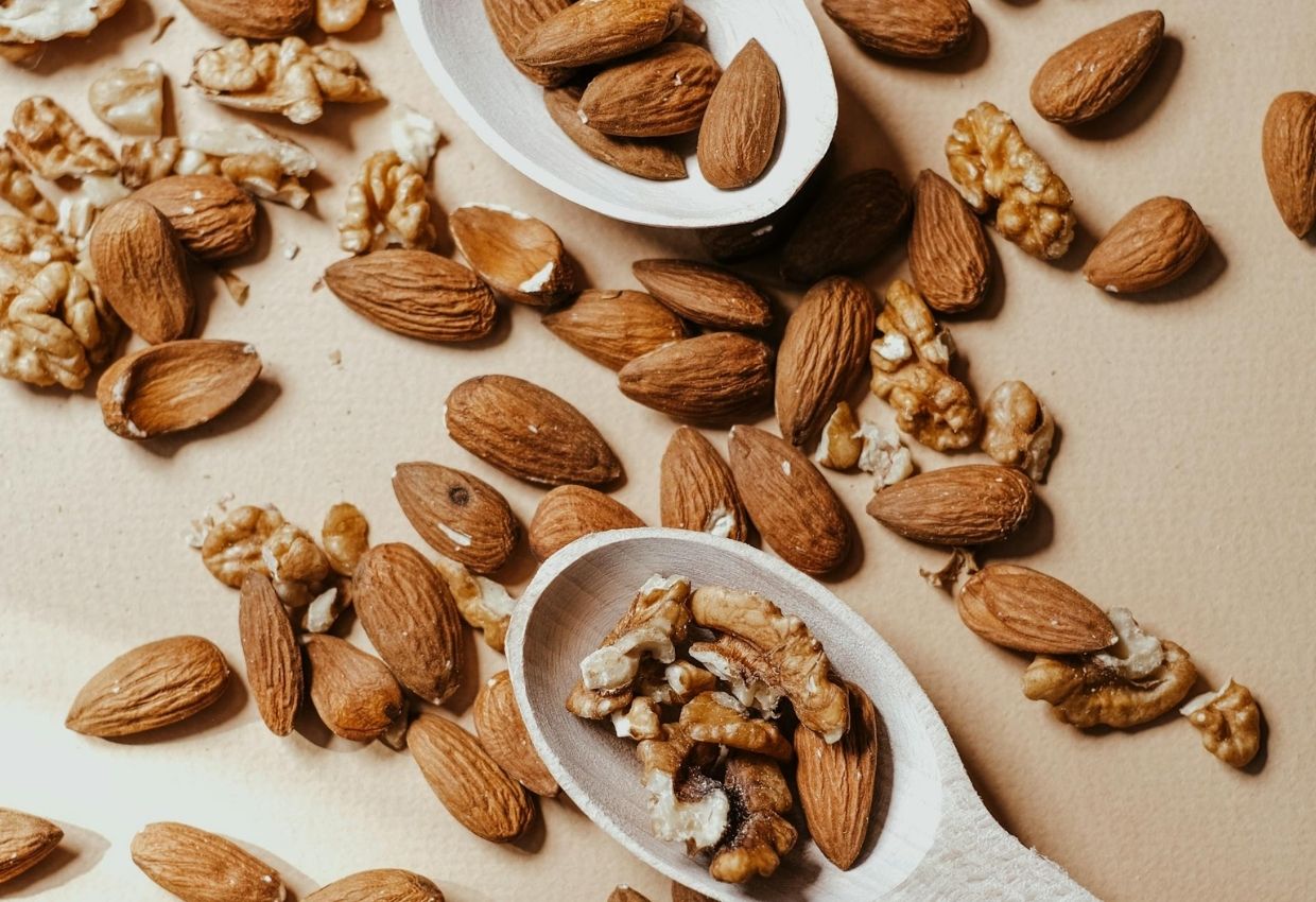 A Guide to Sprouting Nuts and Seeds