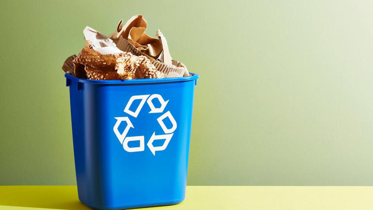 Smurfit Westrock to close St. Paul recycling plant, lay off nearly 200 ...