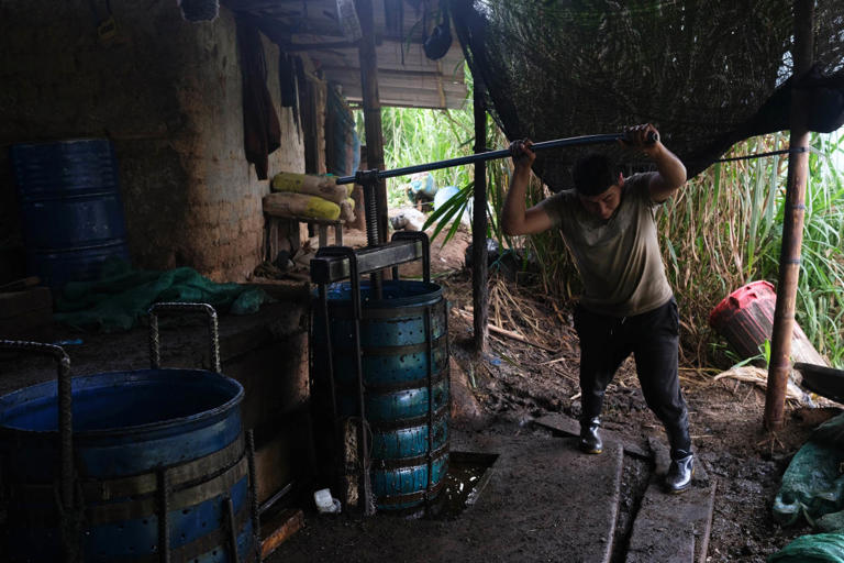 The Potent Powder and ‘Narco-Subs’ Driving Cocaine’s Global Surge