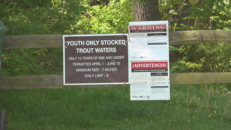 Virginia DWR stocks Basic Park river access with trout for youth-only ...