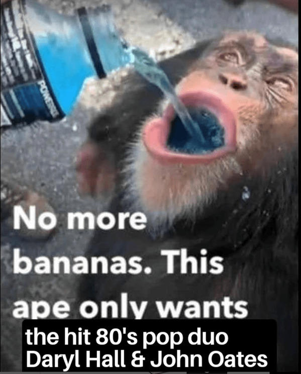 25+ Yacht Rock Memes Smoother Than A Sax Solo (May 1, 2025)