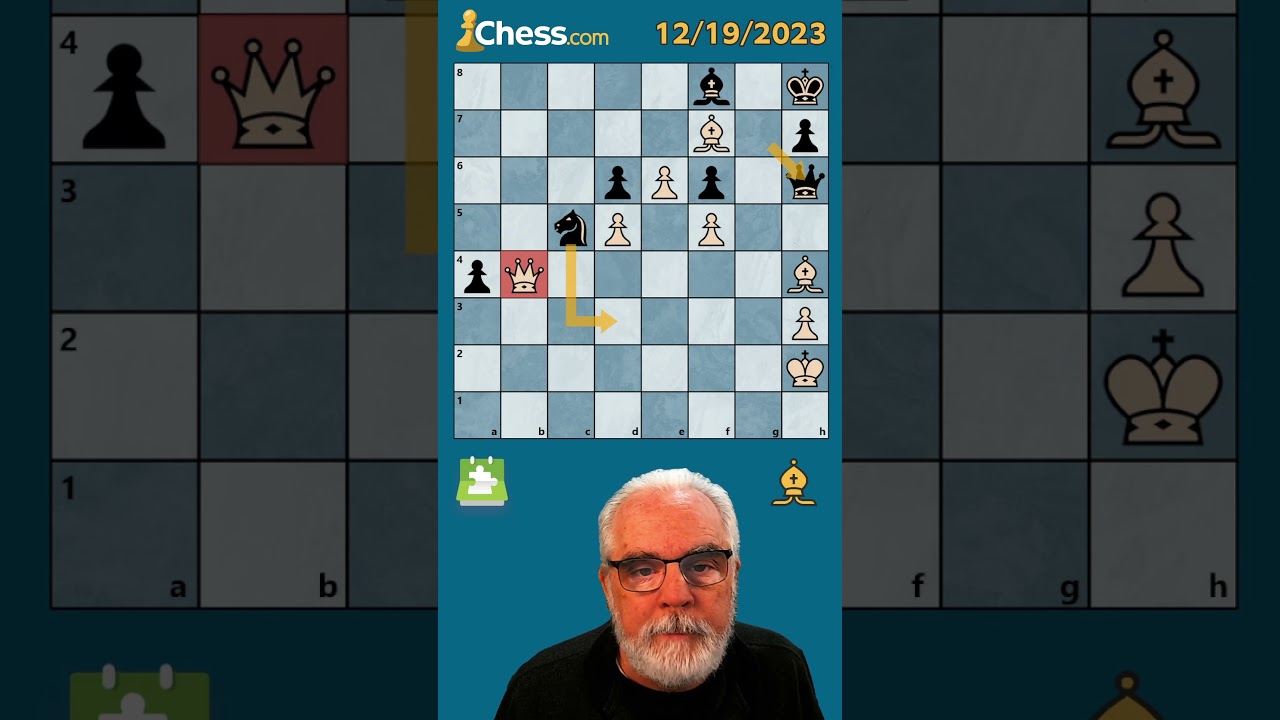 Robert Hess - Geetha Gopal | World Open | Philadelphia 2008