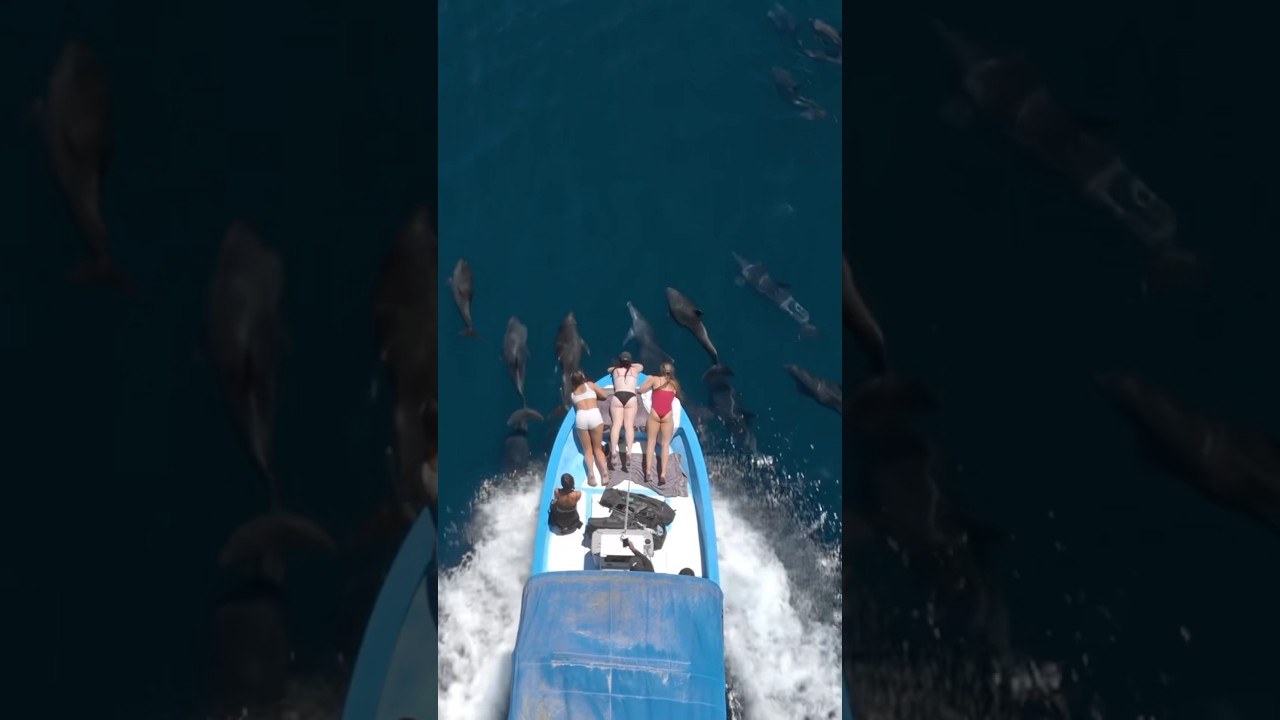 Happy Earth Day best day ever! #earthday #earth #godscreation