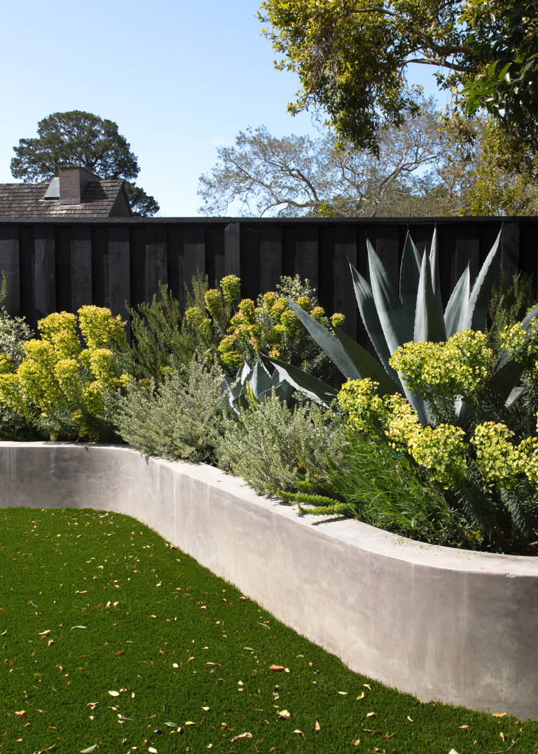 Fences vs Hedges — Which Are Actually Better for Your Garden's Privacy ...