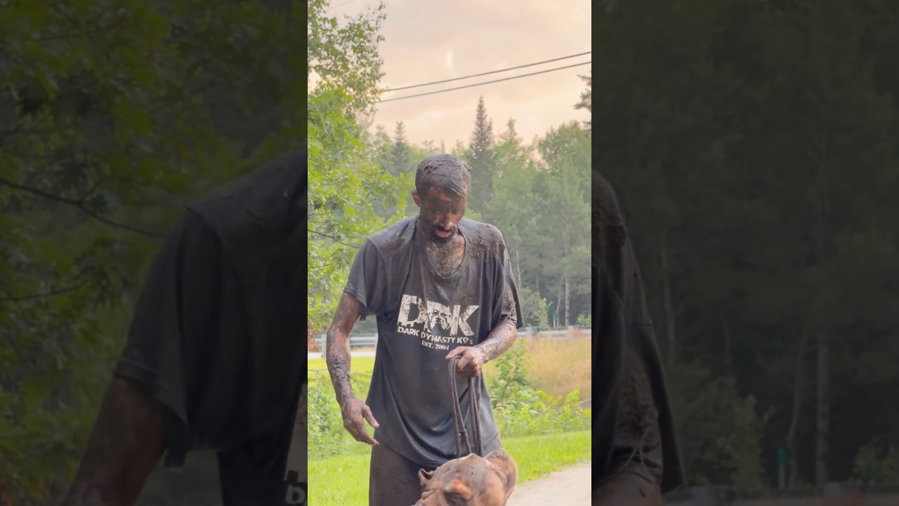Life with dogs who love playing and rolling in the mud