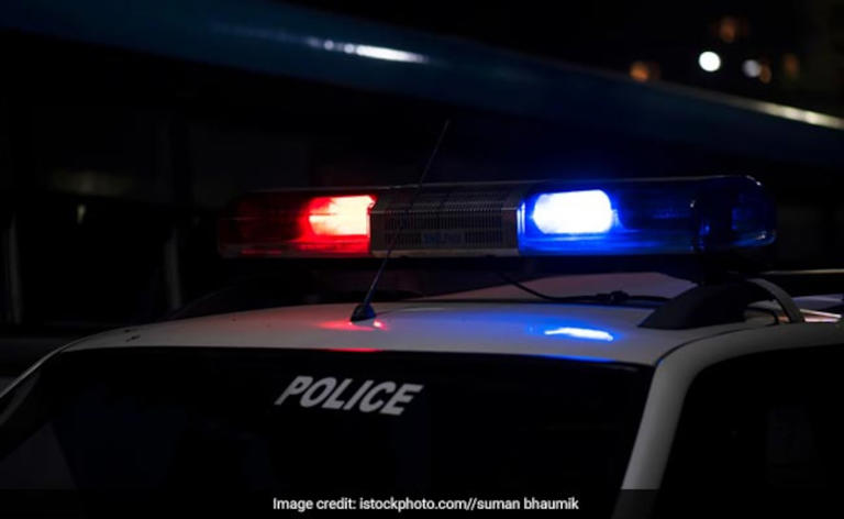 "Police Alone Can't Curb Rapes": Madhya Pradesh Top Cop Flags Pornography