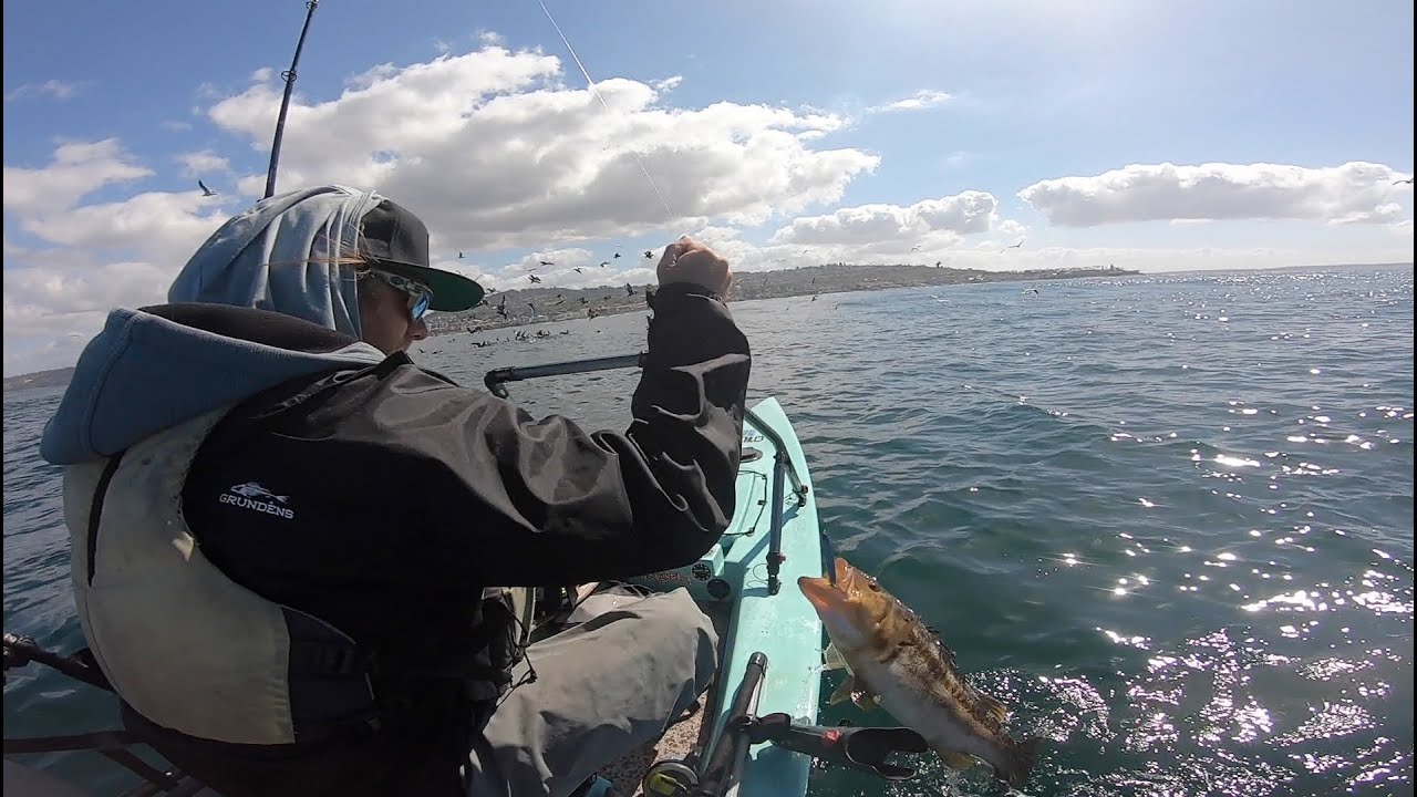 Wide Open Calico Bass Action – Solo Skiff Fishing La Jolla With Mint ...