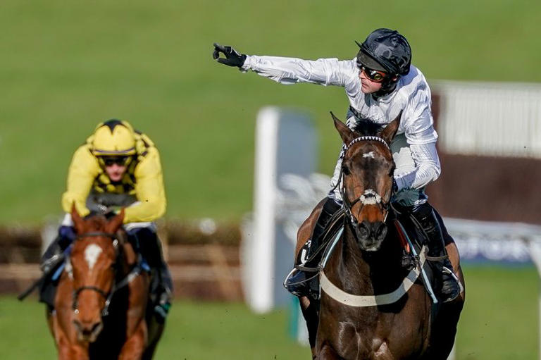 Punchestown day 4 full race card and tips - list of runners on Friday