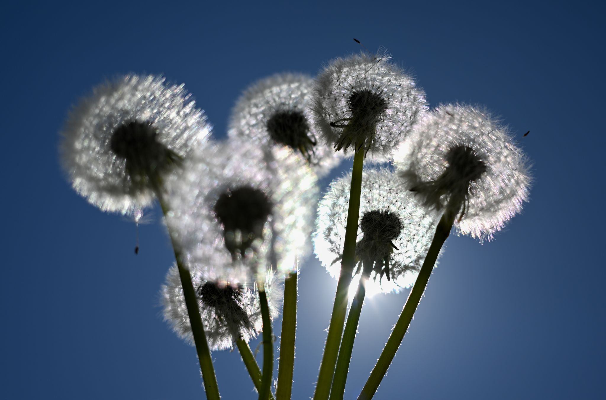 Hessen kratzt an der 30-Grad-Marke
