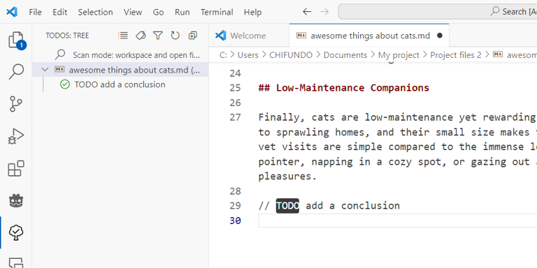 Why Everyone Should Use VS Code (Even If They Aren't a Coder)