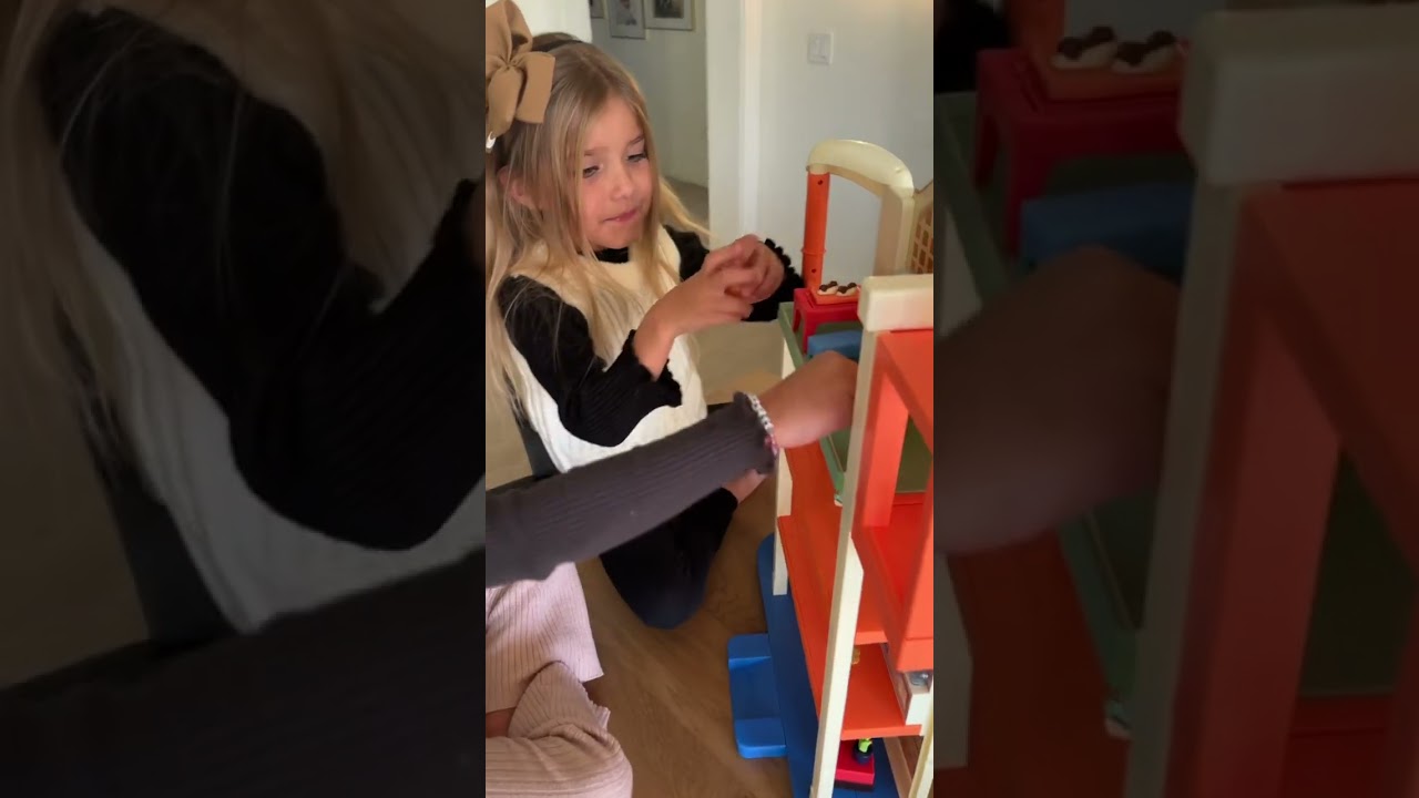 Bluey Playset Obsession: Toy Craze