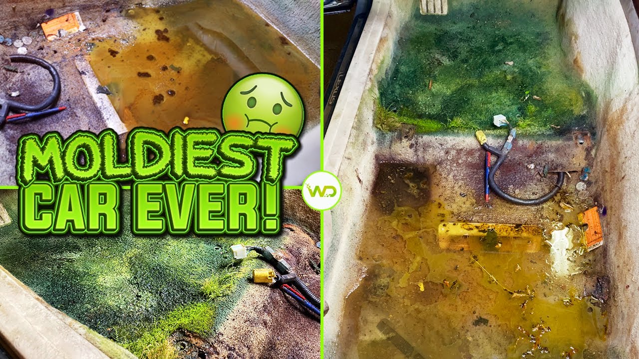 Biohazard Car Gets Stunning Full Restoration Detail