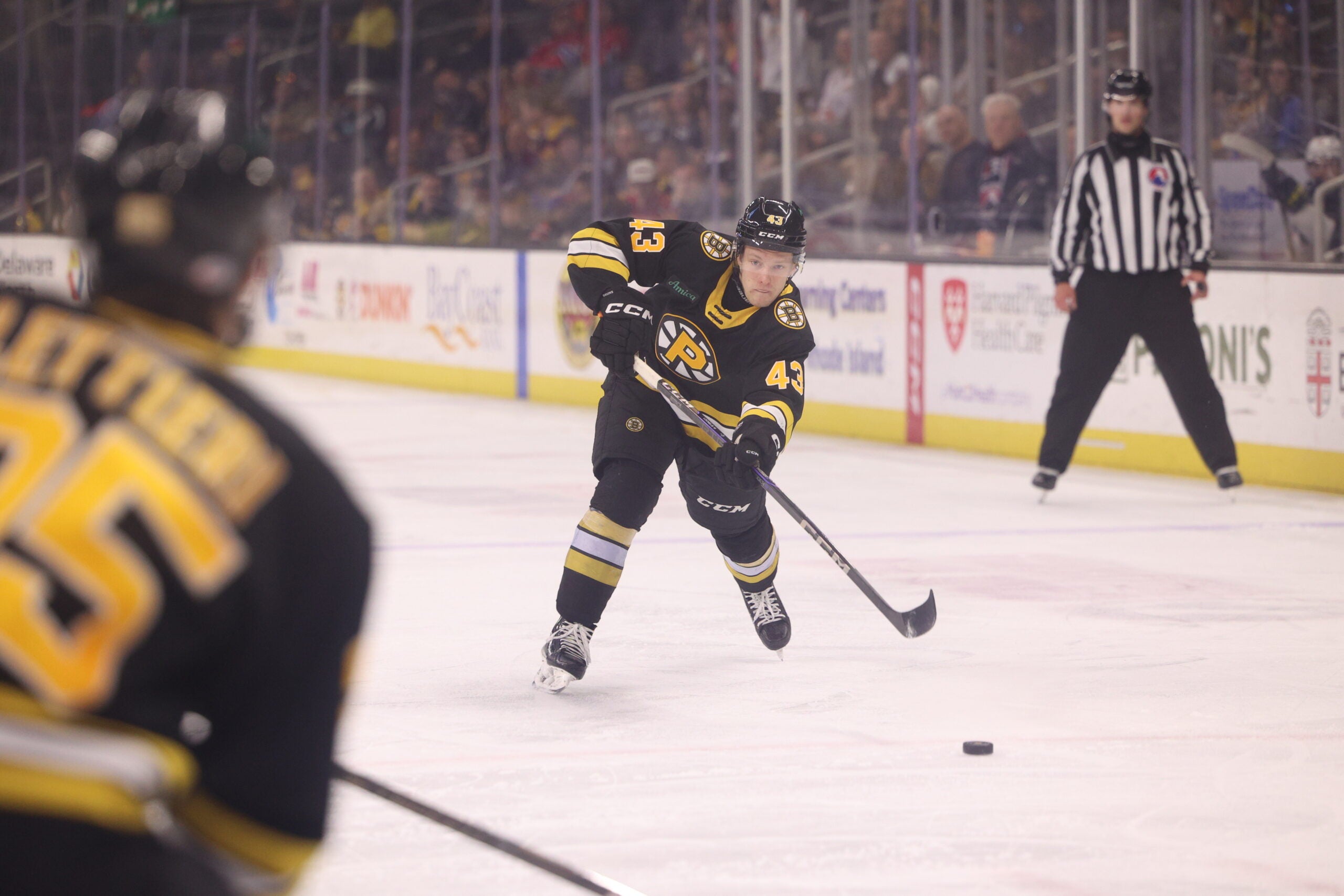 Have the Bruins found another diamond in the rough in Dans Locmelis?