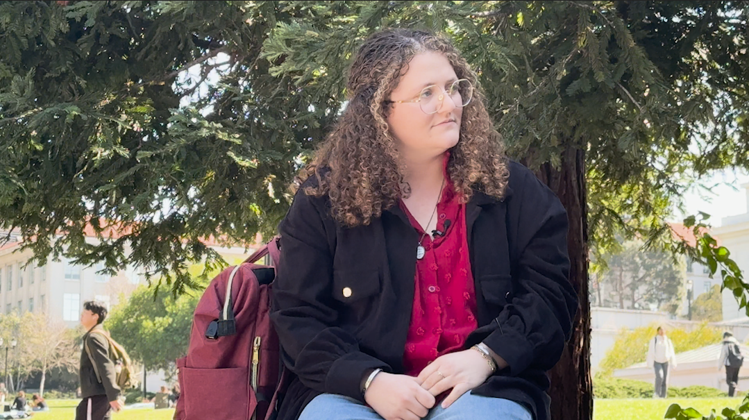 Animal rights activist faces prison time for chicken rescue