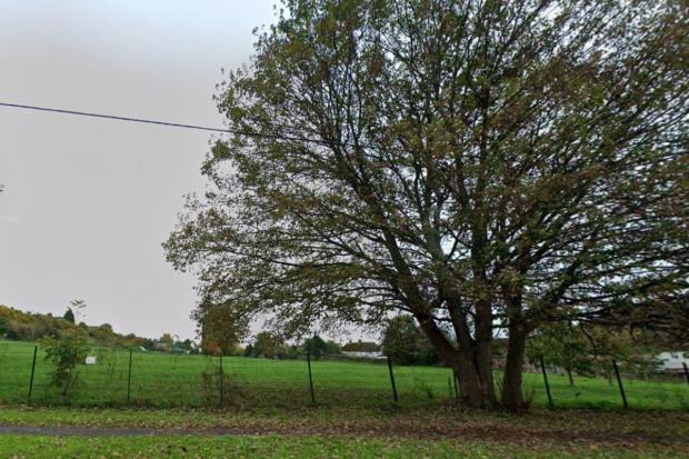 Town council approved funds for pocket wilding signage