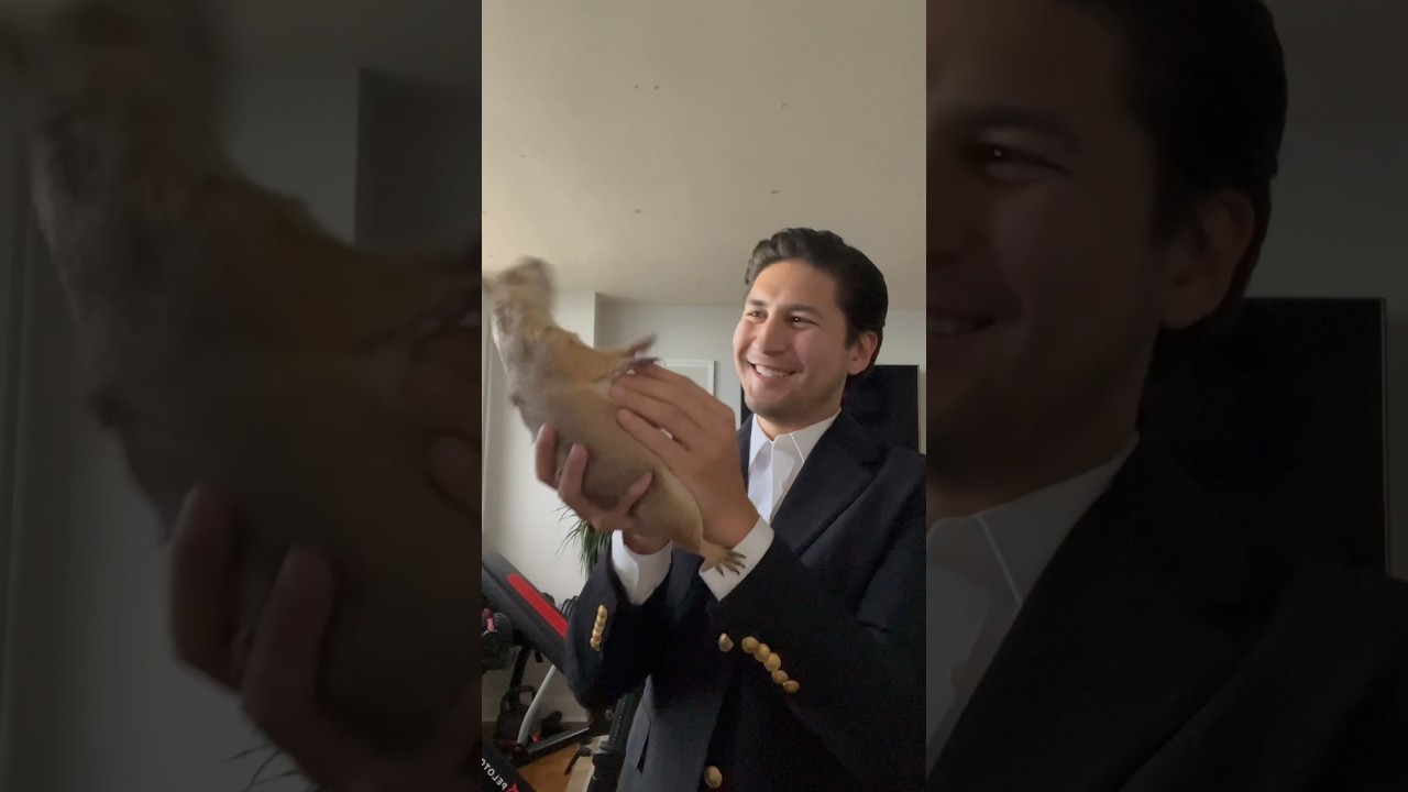 Prairie dog shows a joyful wahoo reaction
