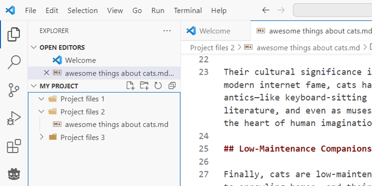 Why Everyone Should Use VS Code (Even If They Aren't a Coder)