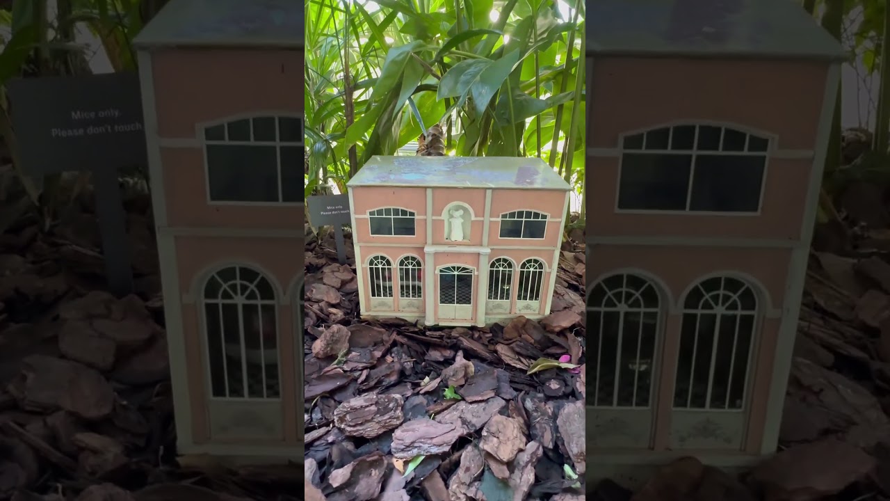 Only in Palm Beach: Meet Poppy the Prairie Dog