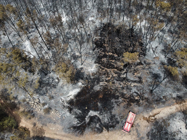 Israel wildfires latest: Firefighters winning 30-hour battle as ...