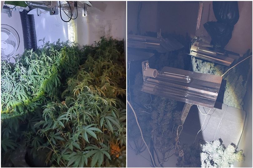 Police say 'look what we found' after early-hours raid in Wolverhampton