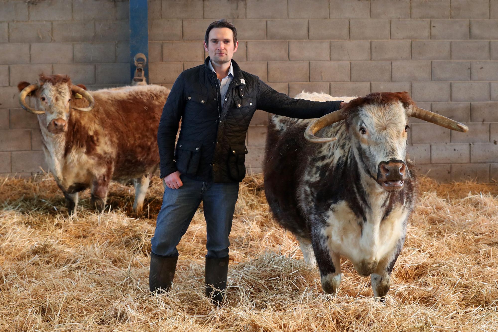 Climate report highlights need for flooding investment plan