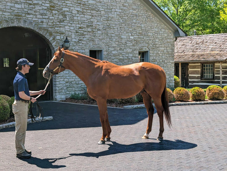 Only 13 horses have won the Triple Crown—see photos of each