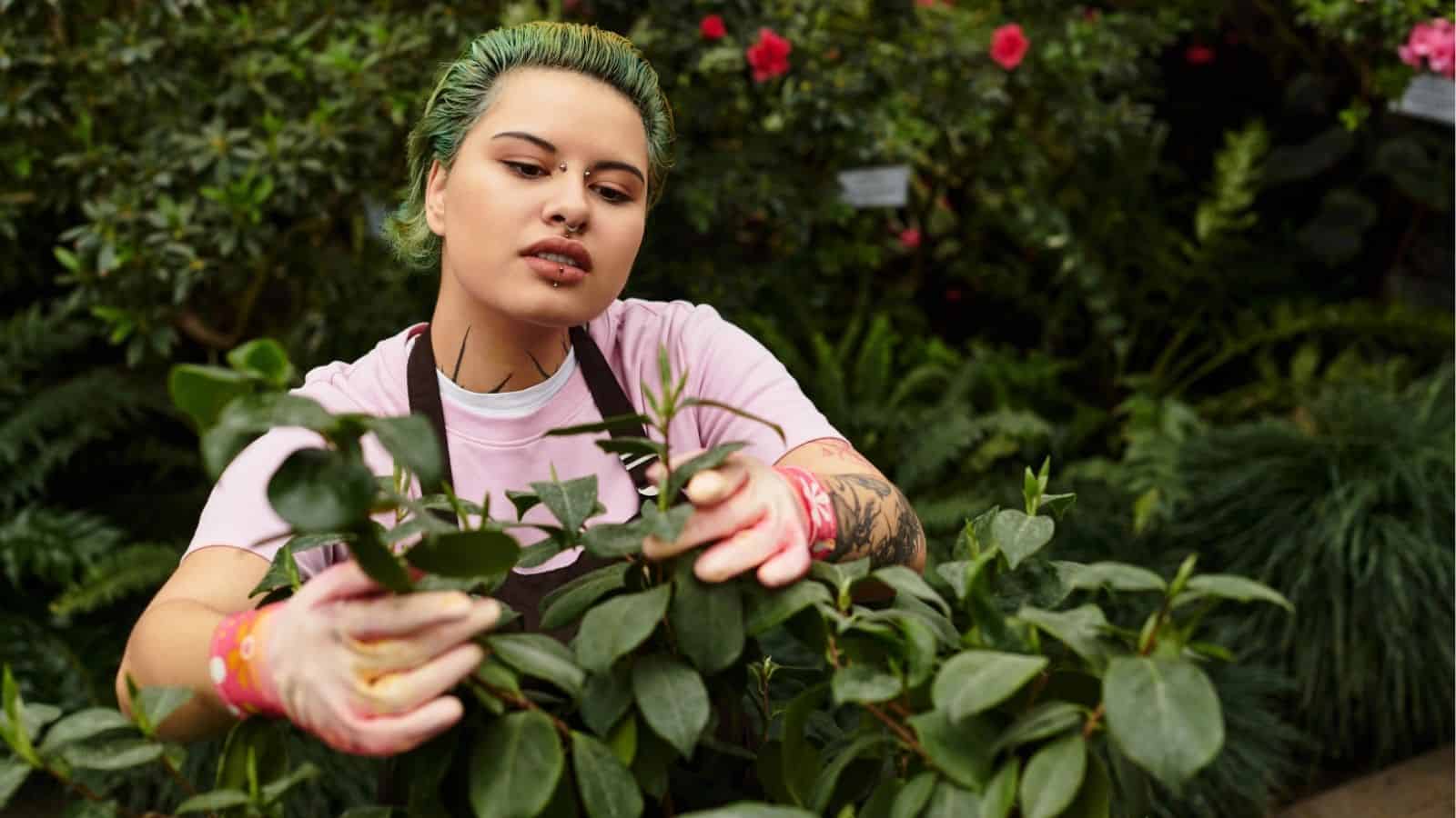 These 13 Gorgeous Plants Are Practically Impossible to Kill (And You’ve ...