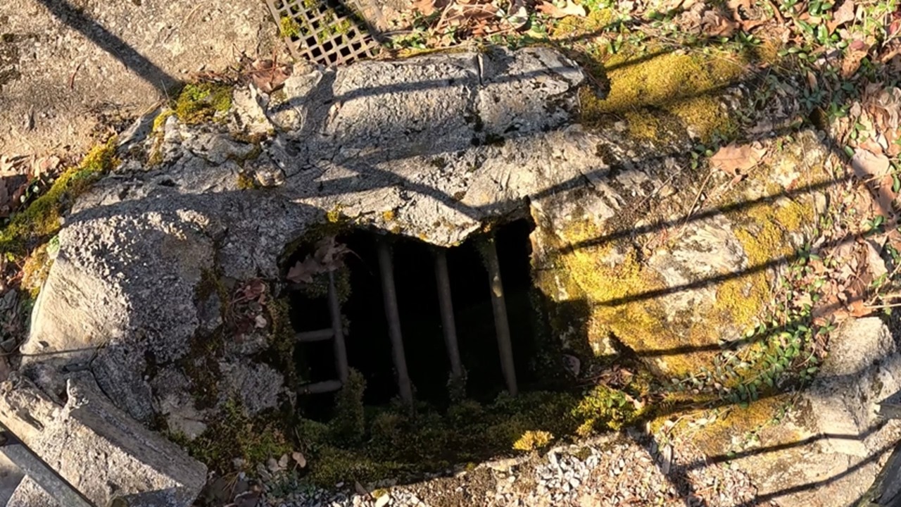 The Hidden World Discovered During a Home Renovation