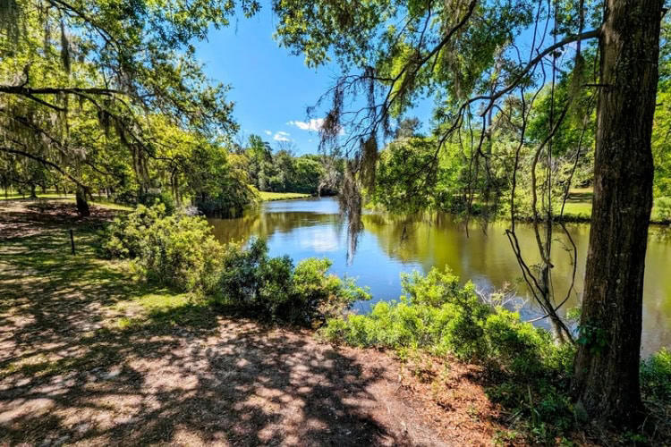 Charleston and Barbados: A Fascinating and Fun Connection