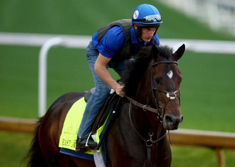 Meet the 19 horses racing in Saturday's Kentucky Derby