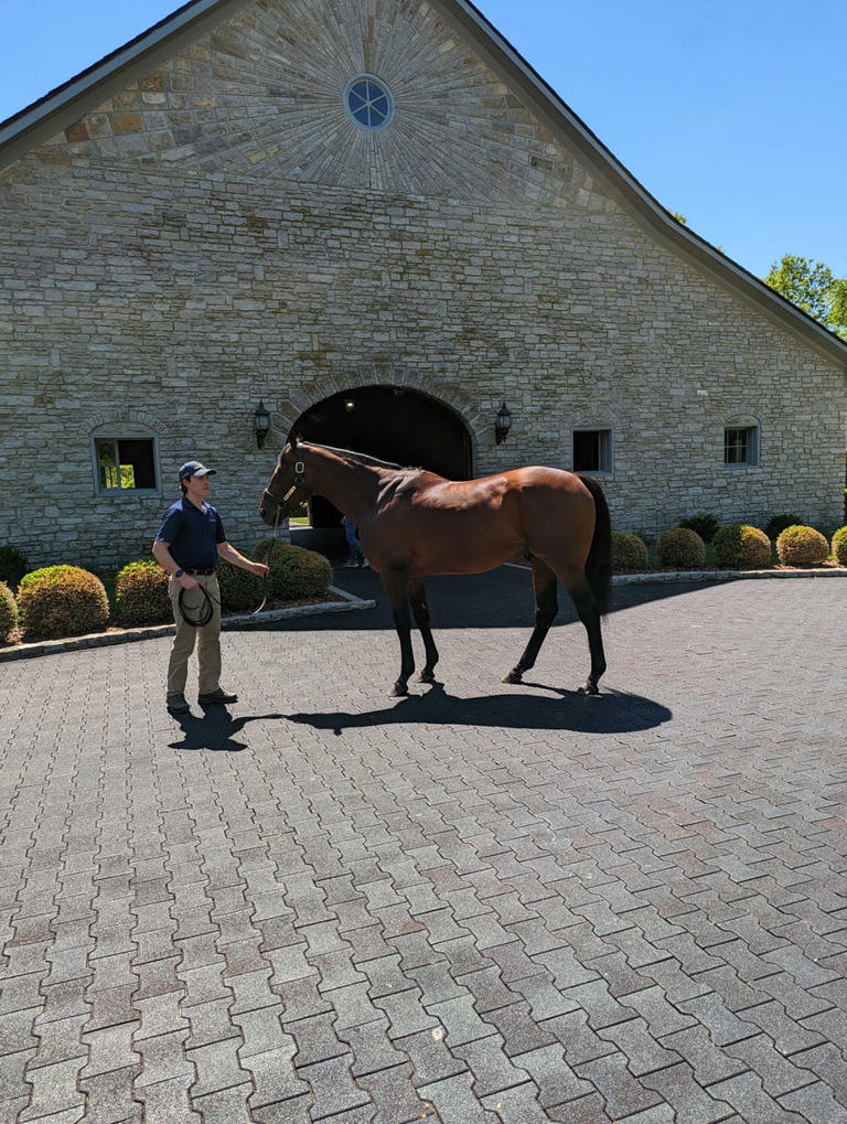 Only 13 horses have won the Triple Crown—see photos of each