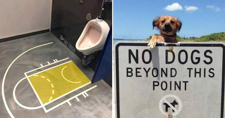 45 Funny Pictures For Your Daily Dose Of Humor (May 2, 2025)