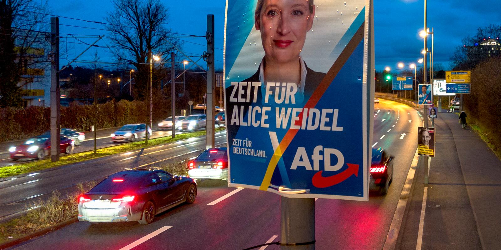 Tysk underrättelsetjänst slår fast: AFD extremistiskt