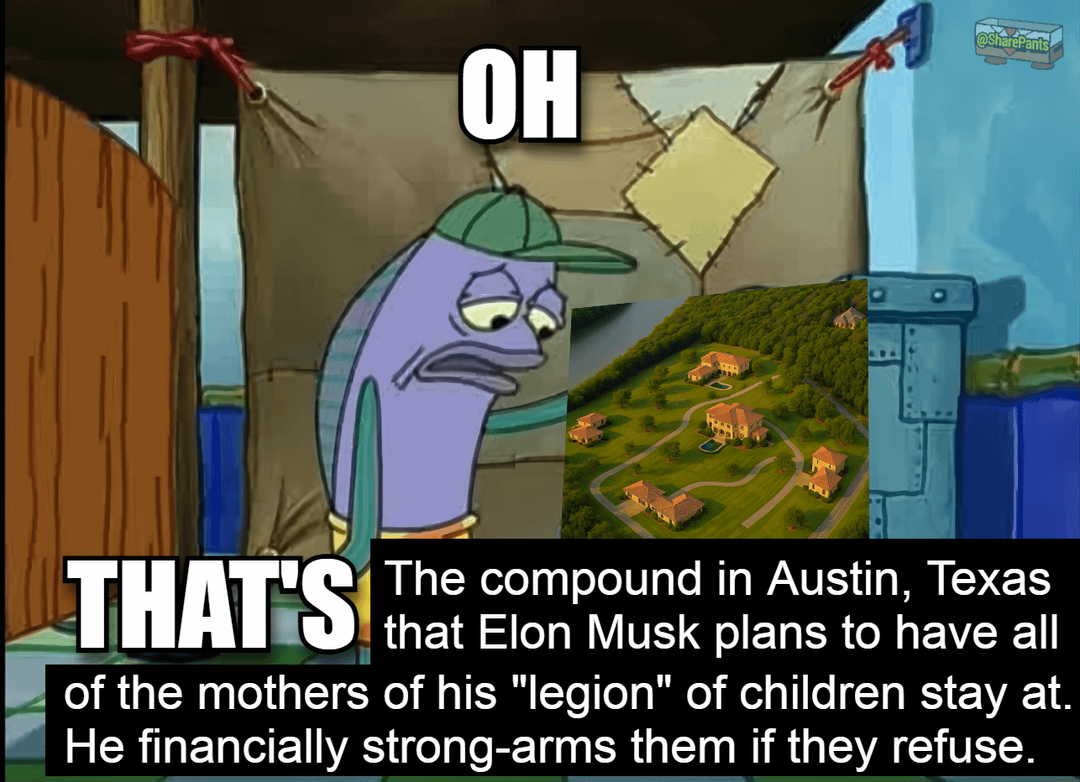 25 Memes From 'Bikini Bottom' Everyone Can Relate To