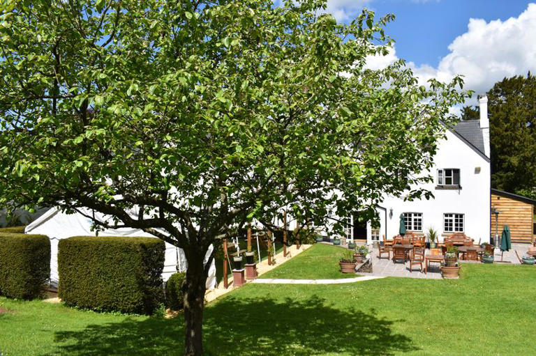 Welsh pub that's made The Times' best posh hotel list