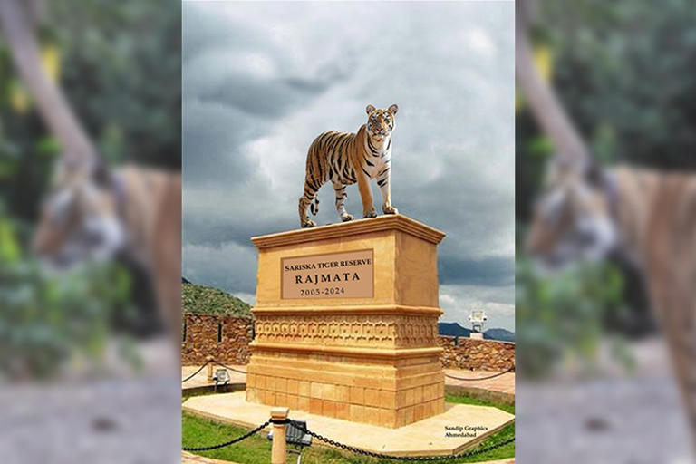 Sariska Tiger Reserve: A maharani recognised